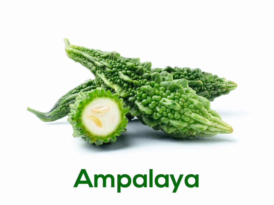 Get To Know The Health Benefits of Each Ampalaya Plus Ingredient ...