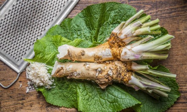 GO EVEN FURTHER: 5 Medicinal Vegetables and Their Health Benefits ...